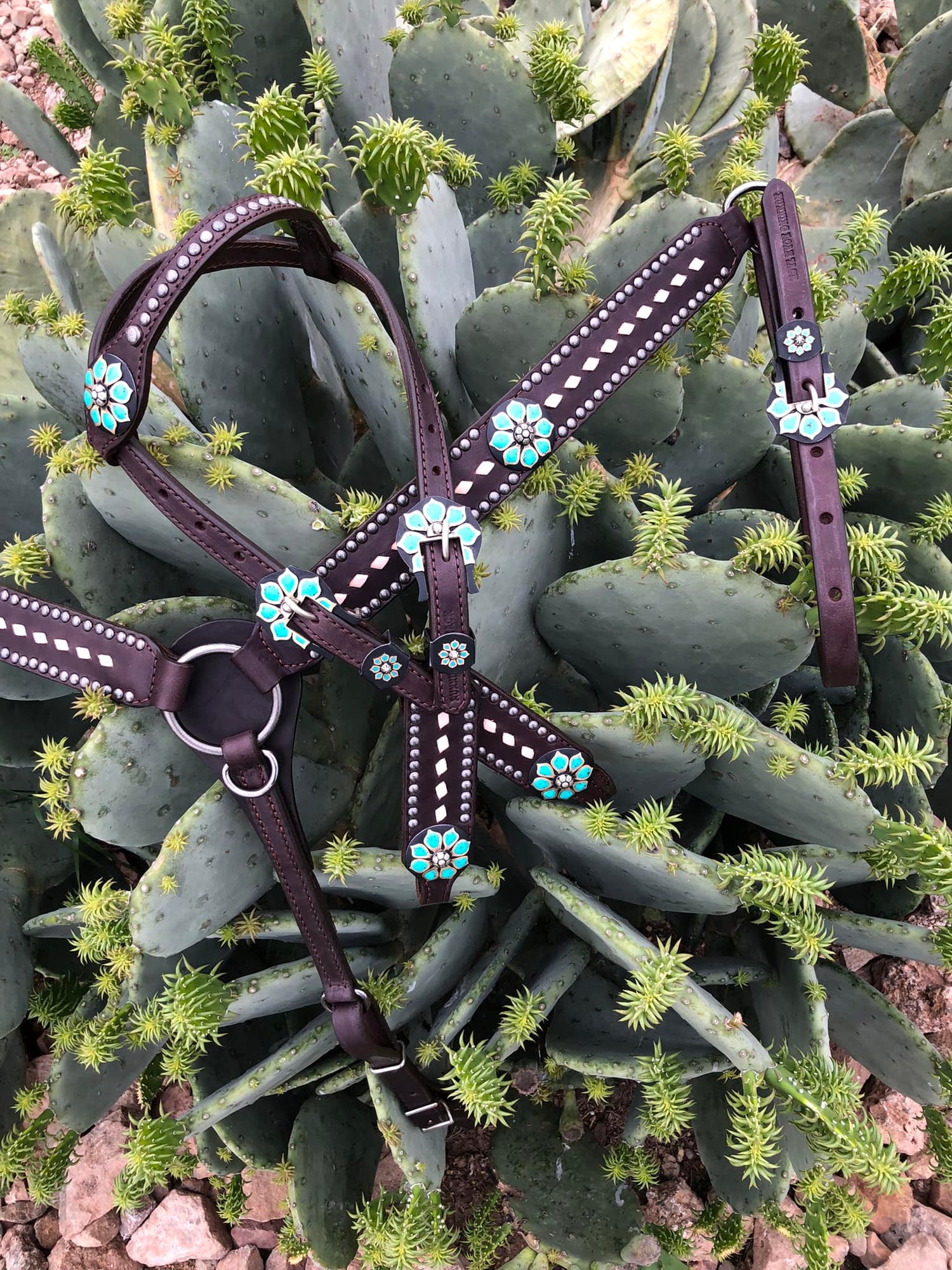 Running Roan Tack :: Handmade in the Cowboy Capital :: Tack, Handbags