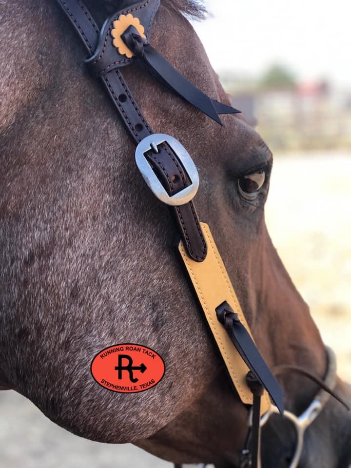 Shop Update - new barrel racing tack, pendleton tack, western home and ...