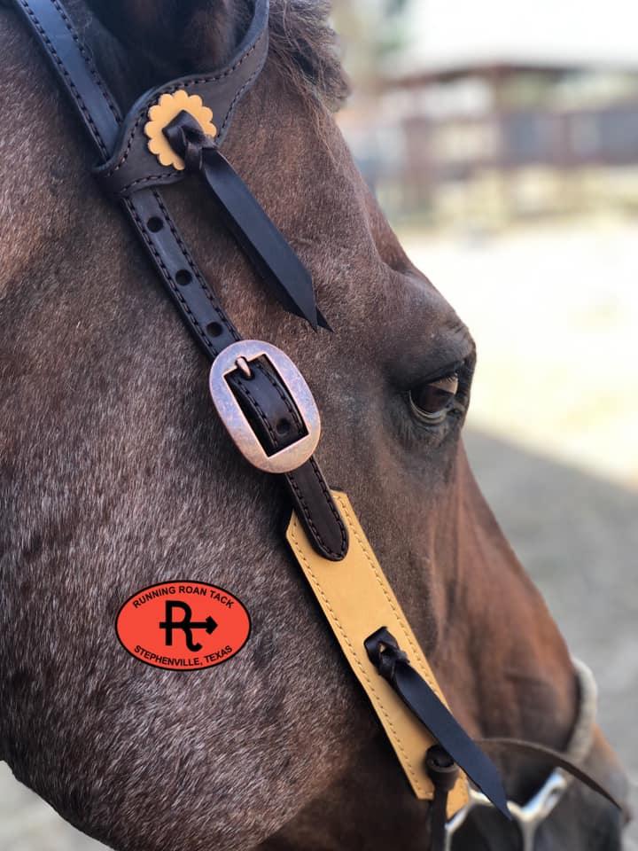 Shop Update - new barrel racing tack, pendleton tack, western home and ...