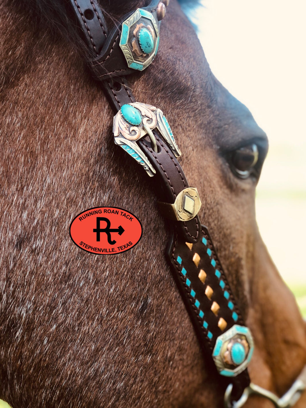 Shop Update - new barrel racing tack, pendleton tack, western home and ...
